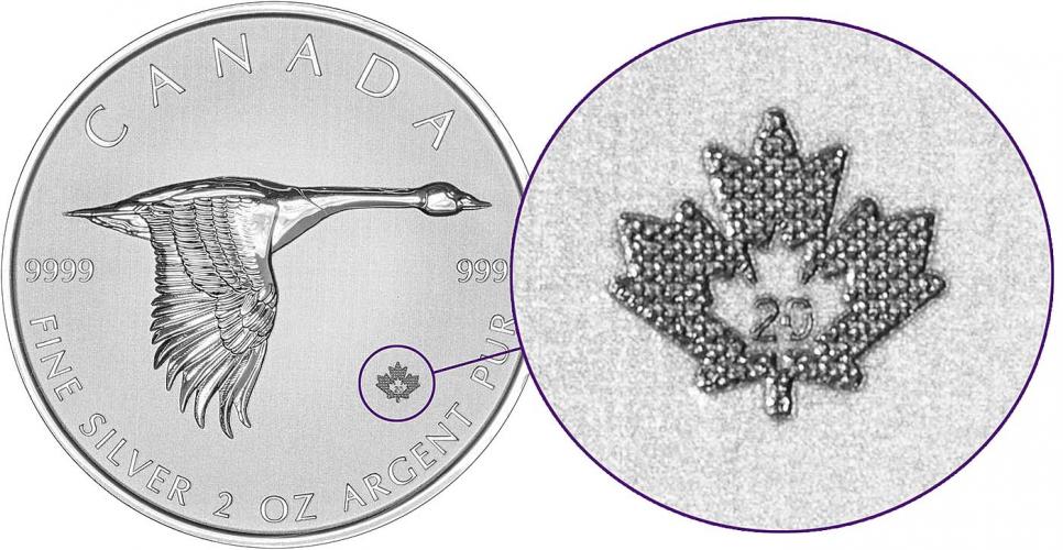 2020 Silver Canadian Goose 2oz Coin Bullion | Chards