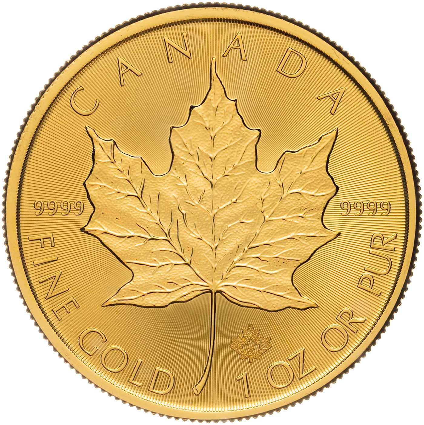 2023 Maple Canadian Gold Coin | Chards - From £2,118.93