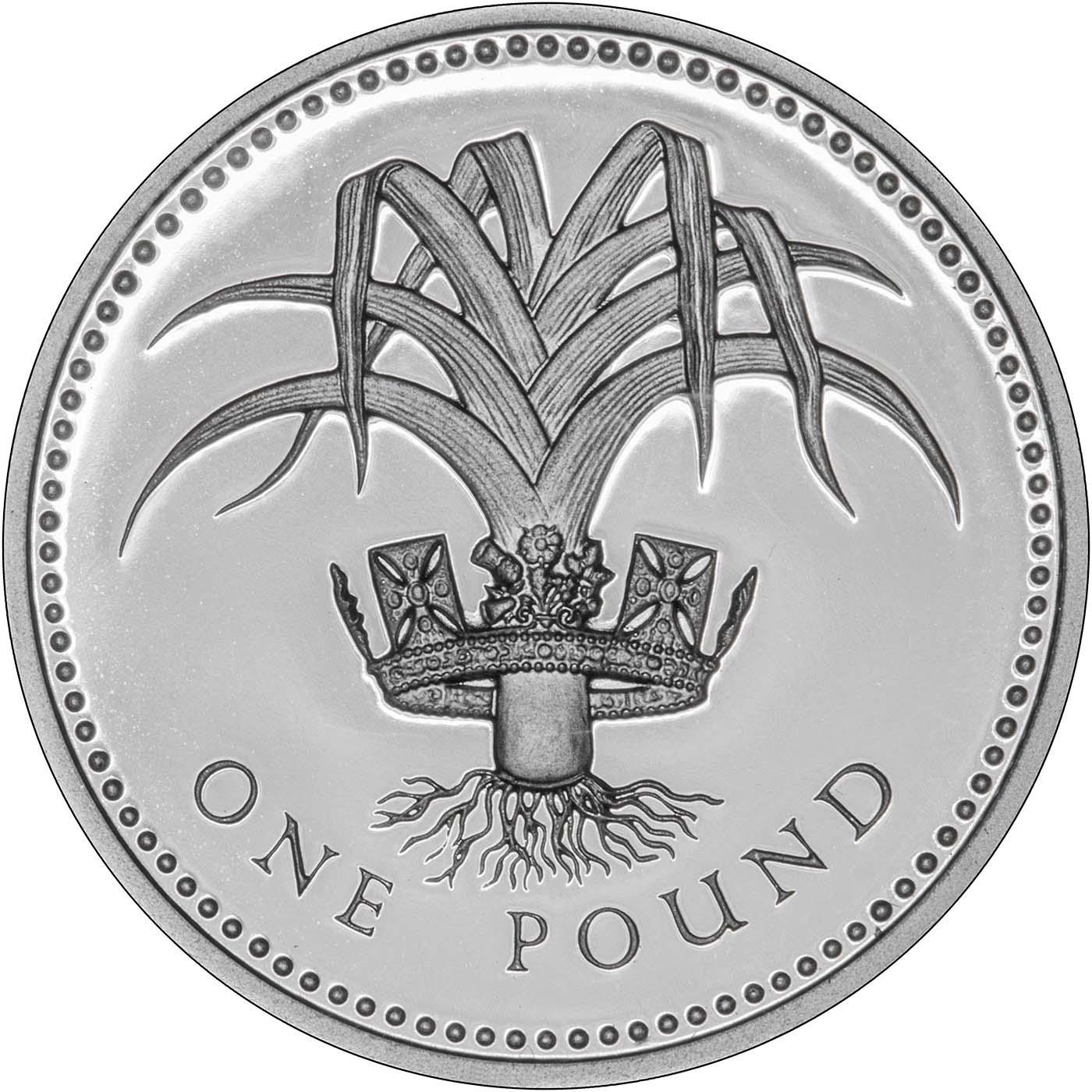 Buy a 1985 Welsh Leek £1 Silver Proof Bullion Coin | Chards