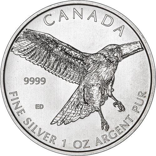 2015 Canadian Red Tailed Hawk 1oz Silver Coin | Chards